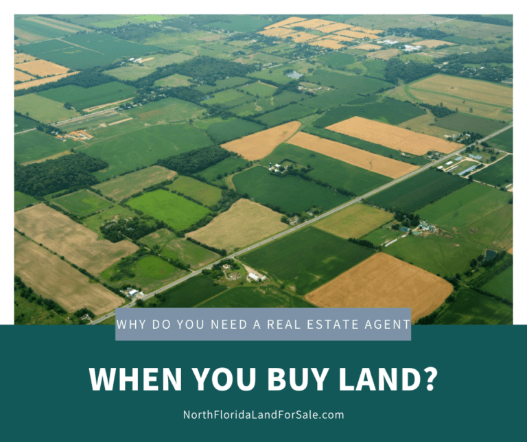 Why Do You Need a Real Estate Agent to Buy Land in North Florida ...