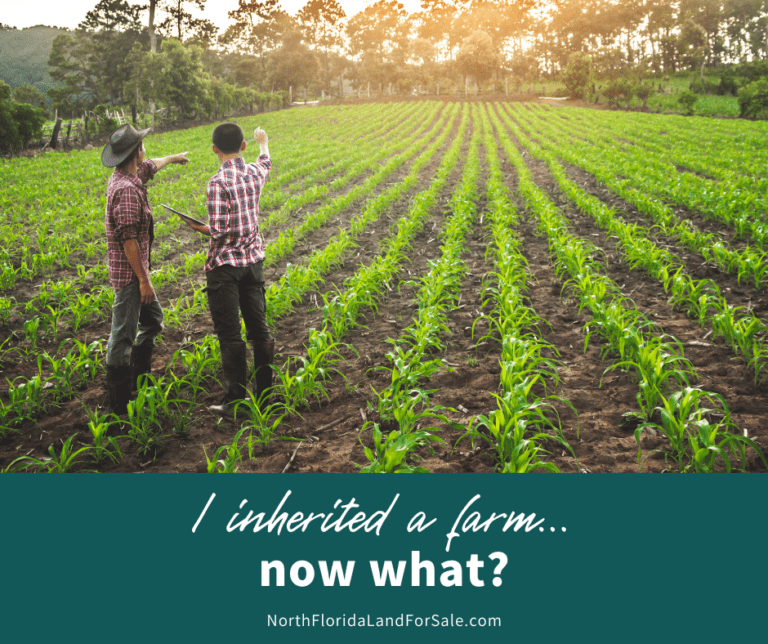 I Inherited a Farm — Now What? | Florida Land Network Leonard Dicks LLC