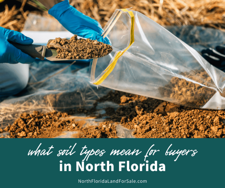 What Do North Florida's Soil Types Mean for Land Buyers? | Florida Land ...
