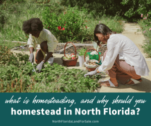What is Homesteading, and Why Do It in Florida? | Florida Land Network ...