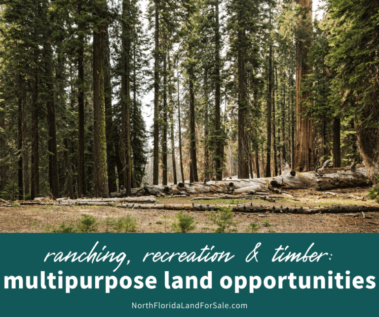 Ranching, Recreation, Timber: Multi-Purpose Land Opportunities in Lake ...